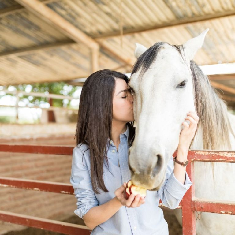 Basic Horse Care 101: Essential Tips for Every Horse Owner – Ride It Out
