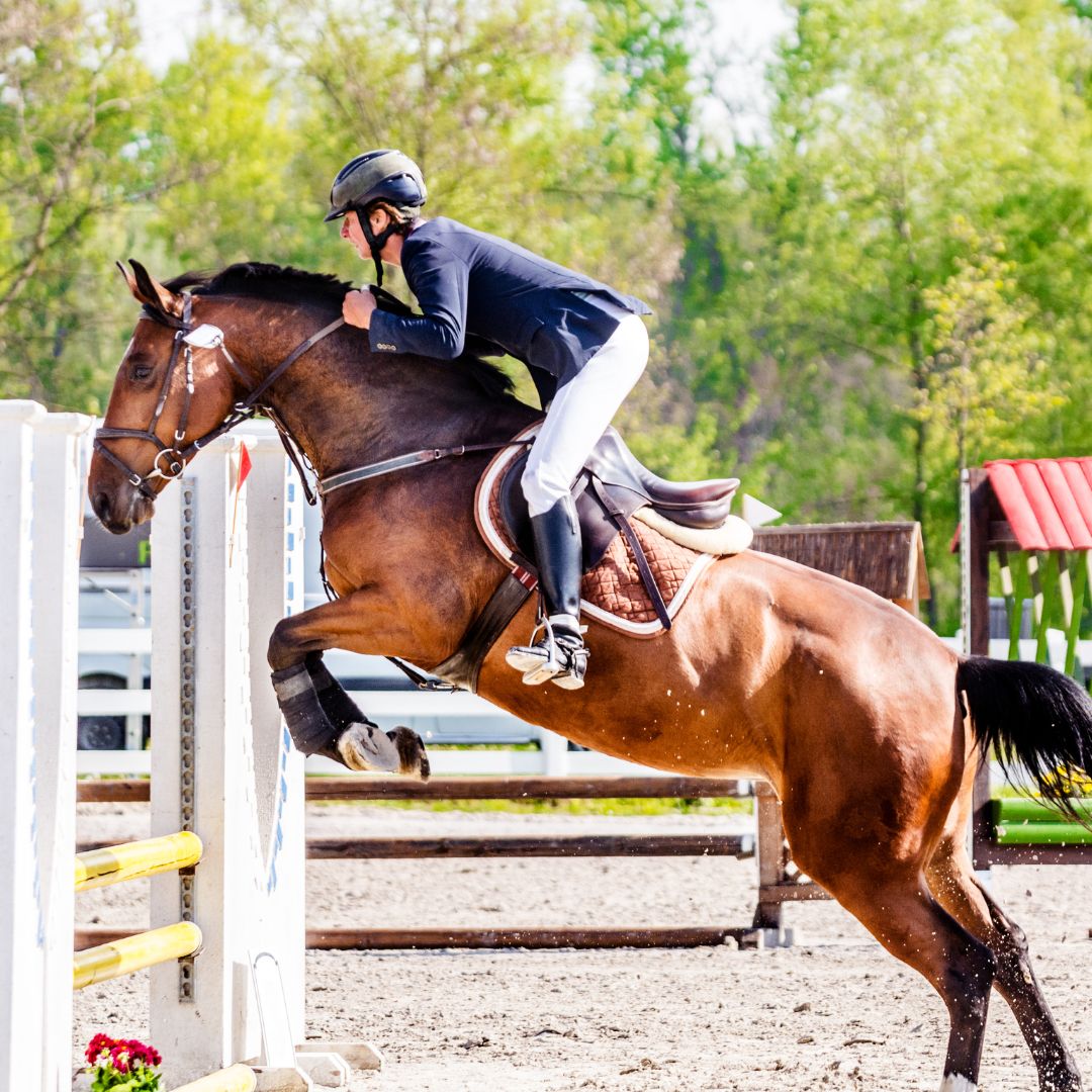 How To Prepare For You First Horse Show – Ride It Out