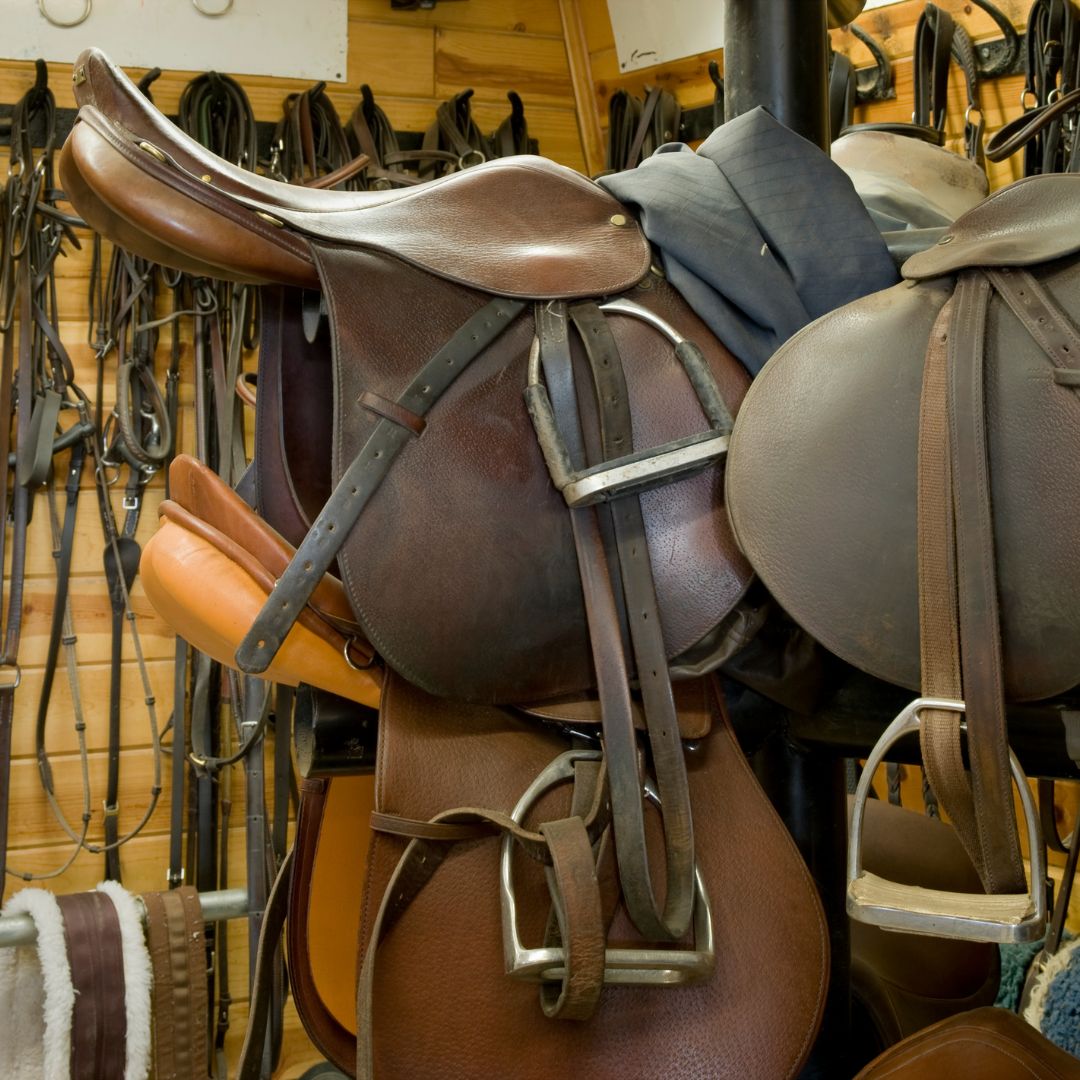 Essential Horse Tack Every Rider Needs: A Comprehensive Guide – Ride It Out