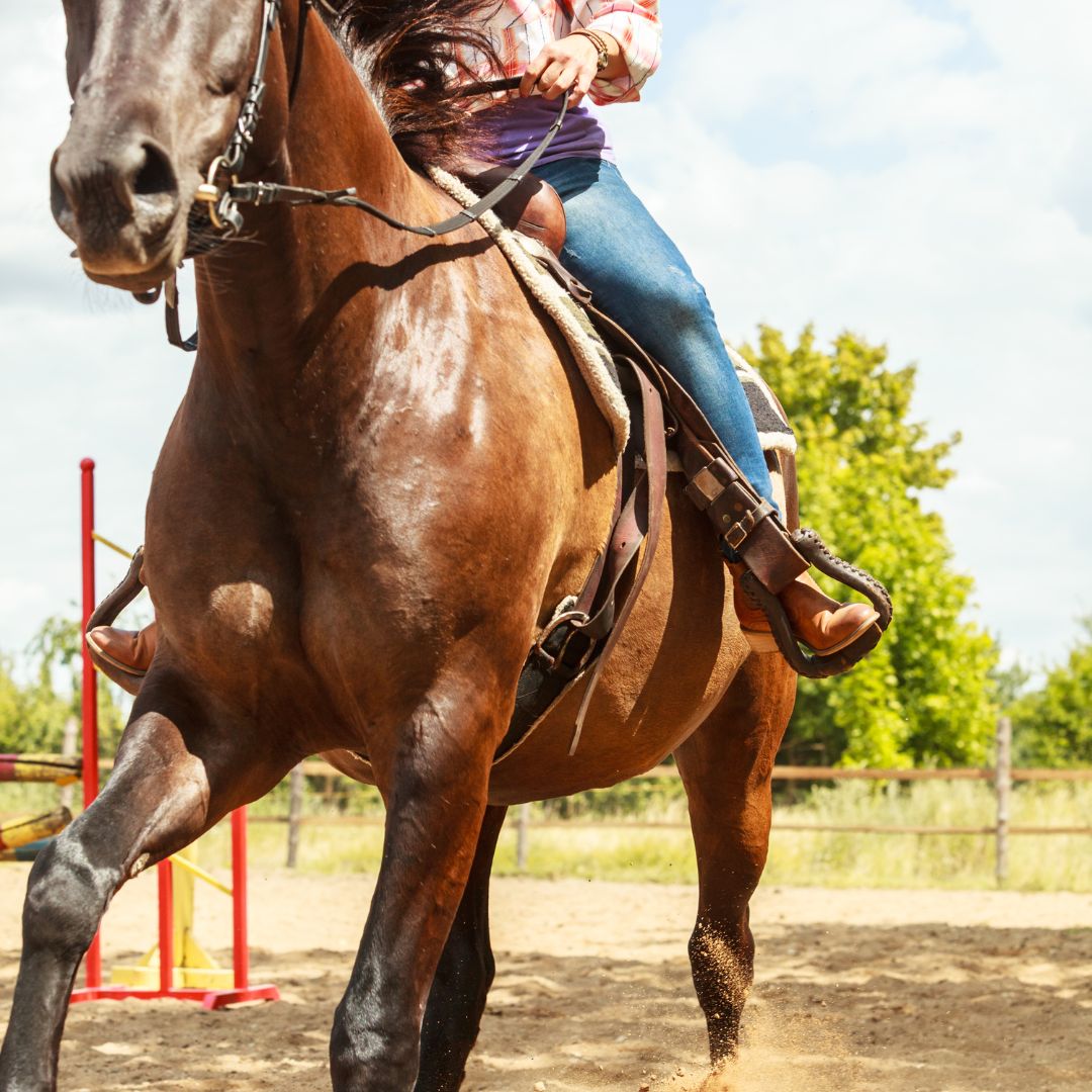 Horseback Riding: Western Riding Basics – Ride It Out
