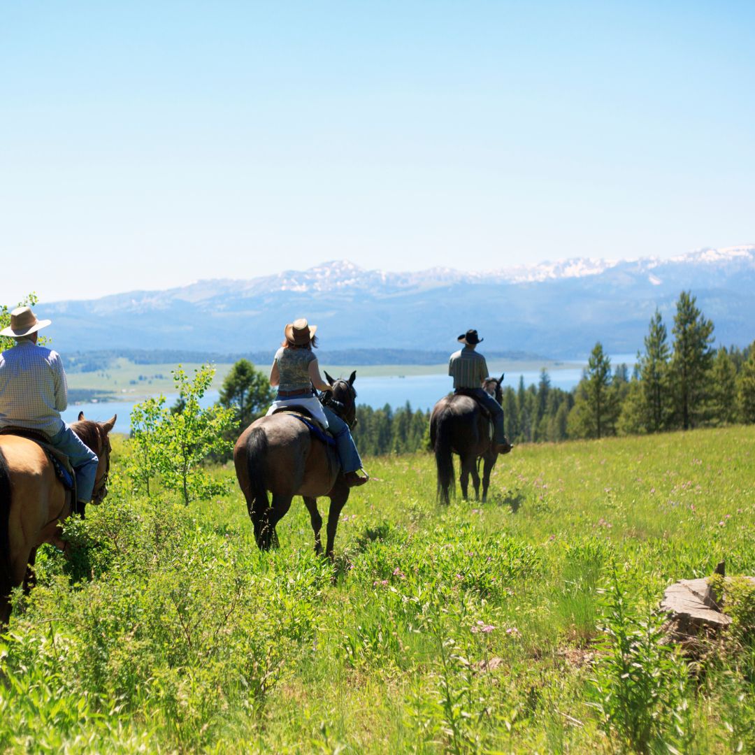 Trail Riding Essentials: What To Pack For A Perfect Day On The Trails ...